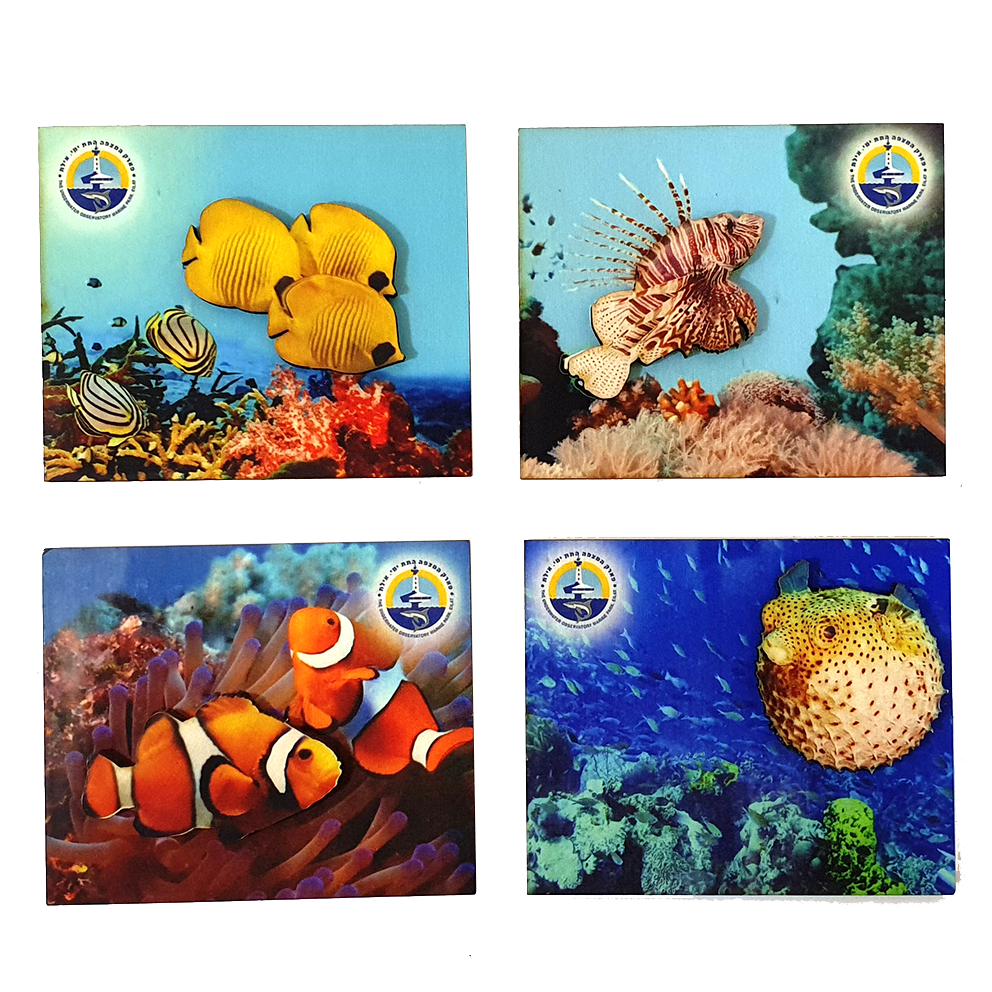 Ocean A - set of 4 magnets 3D Wooden Puzzle | Touchwoodesign